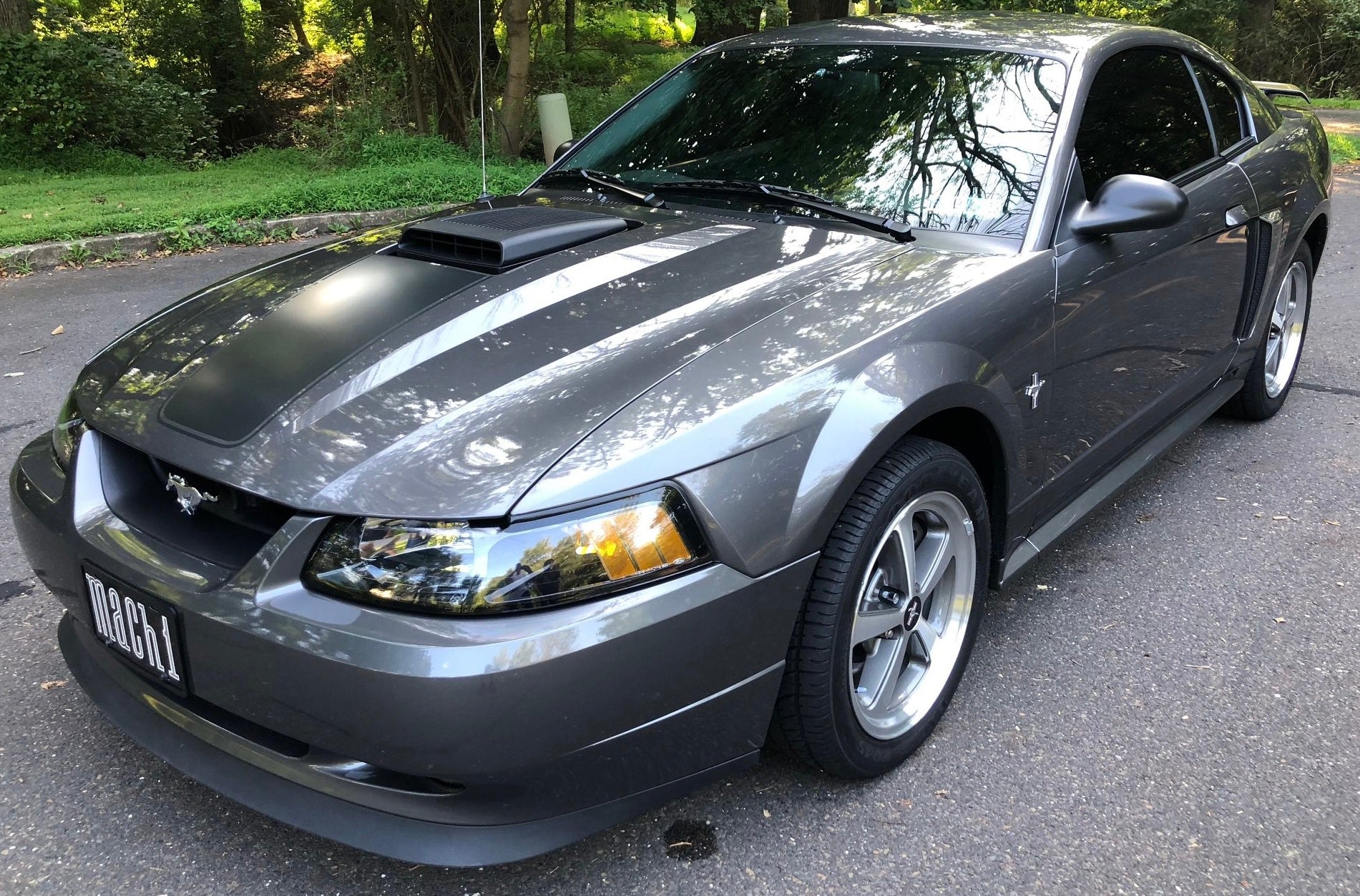 Ford CX Dark Shadow Gray Gallon Acrylic Enamel Car Paint Kit – Auto ...